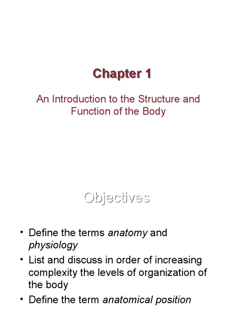 An Introduction To The Structure and Function of The Body | PDF ...