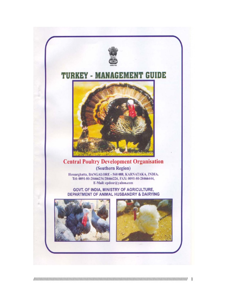 Turkey Farming Guide | PDF | Poultry | Meat
