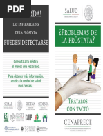 Triptico Cancer de Prostata | PDF | Cancer de prostata | Cáncer