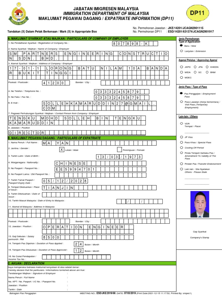 DP11 Expatriate Application Form | PDF | Passport | Document
