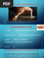 Fisiología del Tono Muscular Explicada | PDF | Músculo | Neurona
