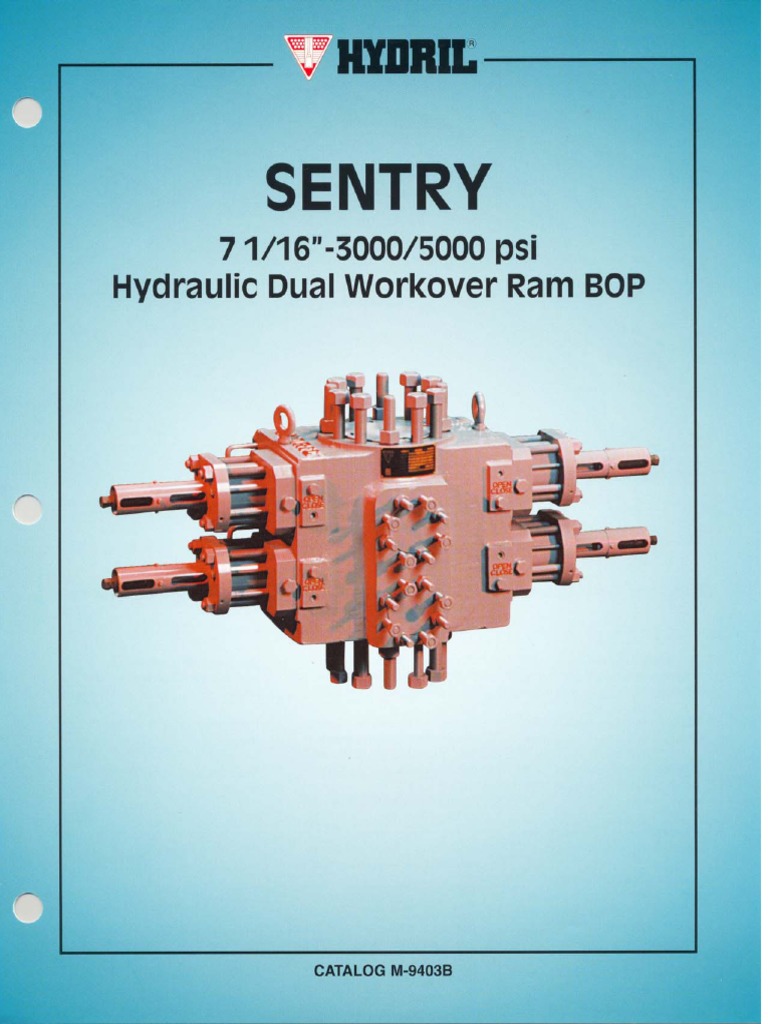 Sentry Double Ram BOP | PDF
