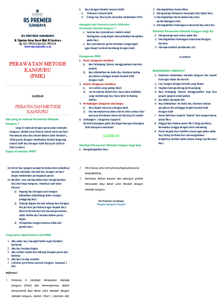 Leaflet PMK (Ok) | PDF