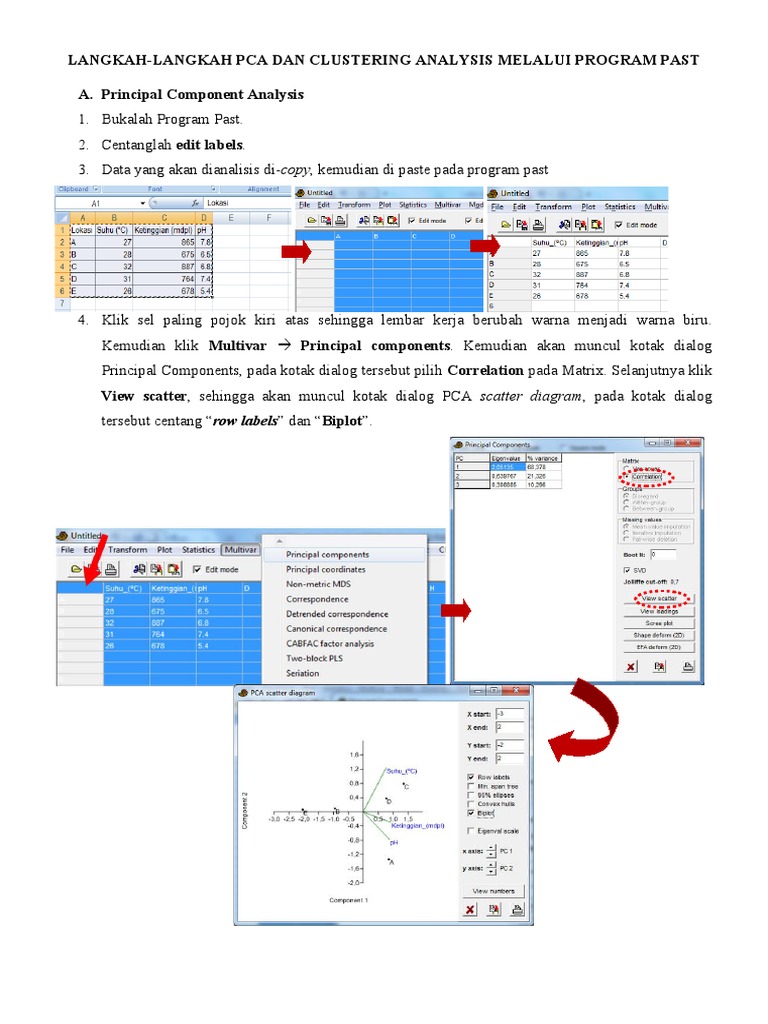 Cara Kerja Pca Dan Clustering Analysis Pada Program Past | PDF