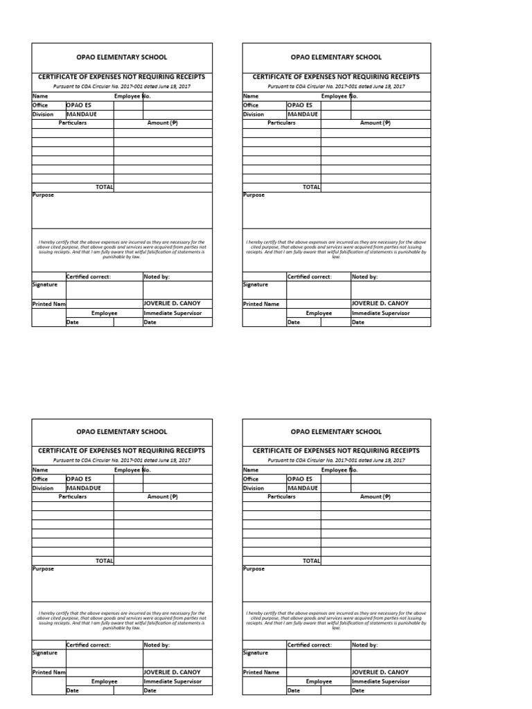 OPAO Elementary School Expense Certificate | PDF | Receipt