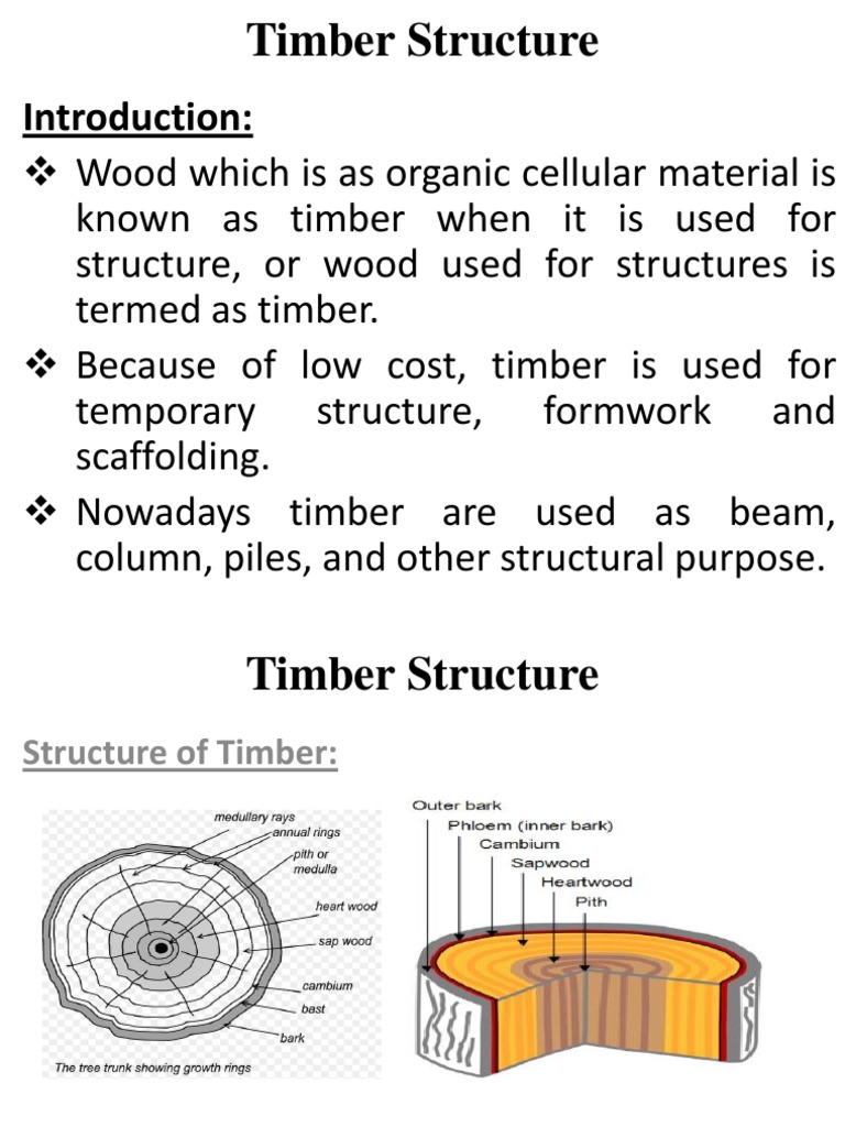 Timber Structure | PDF | Beam (Structure) | Lumber
