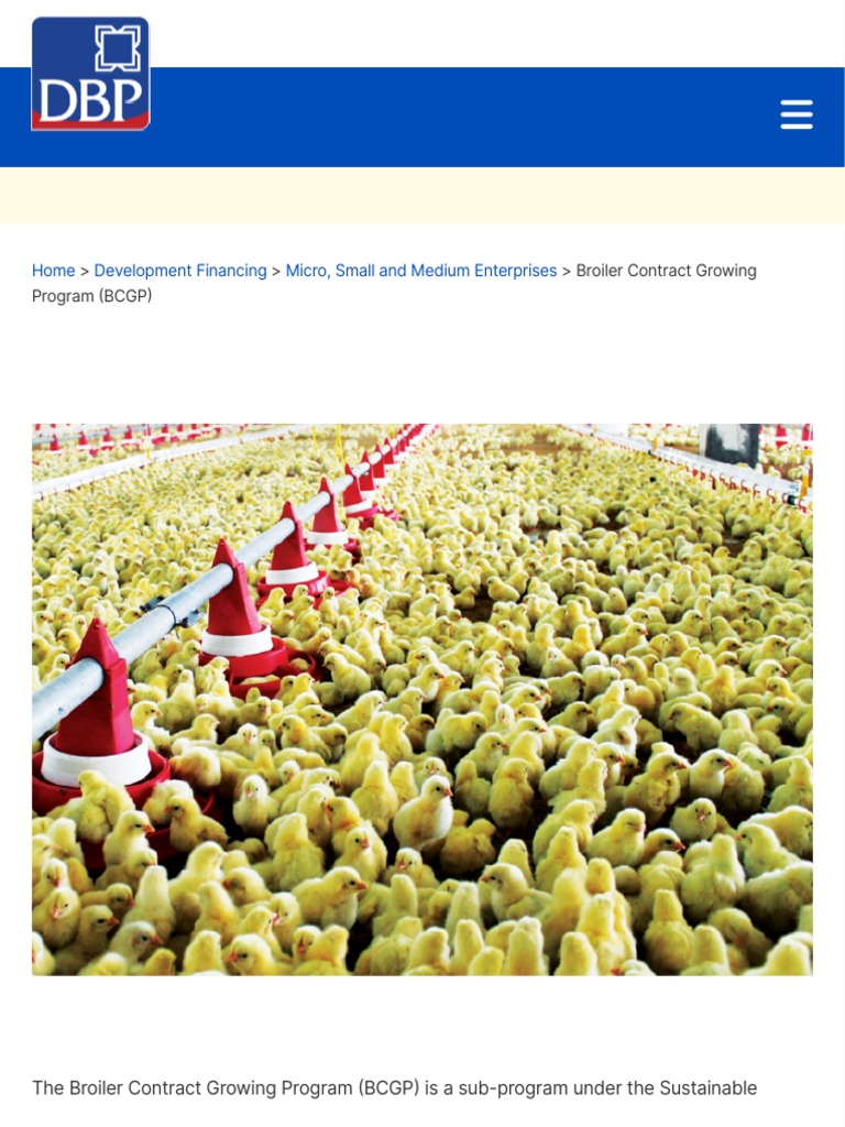 8 Broiler Contract Growing Program (BCGP) - Development Bank of The ...
