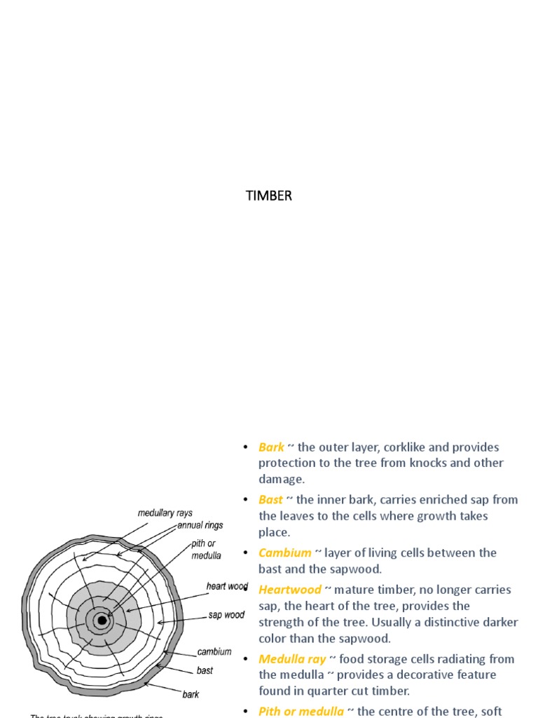 Timber Properties | PDF | Wood | Lumber