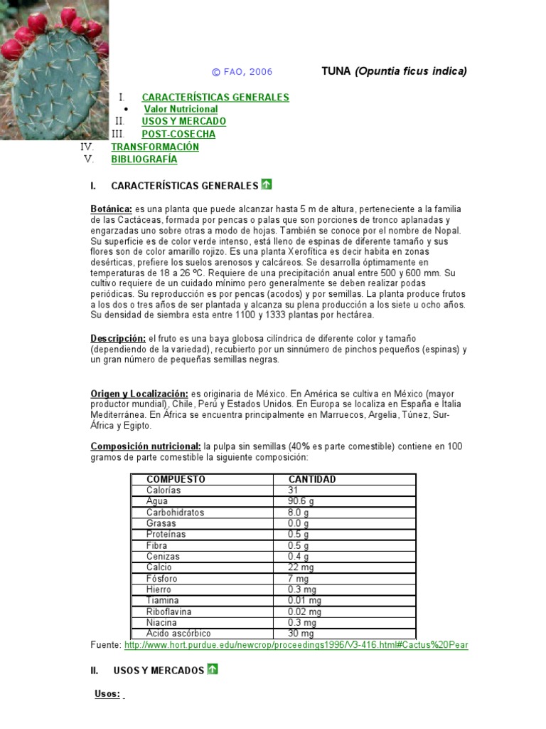 TUNA Fao | PDF | Comida y bebida | Alimentos