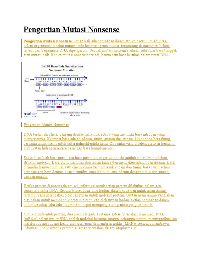 Pengertian Mutasi Nonsense | PDF