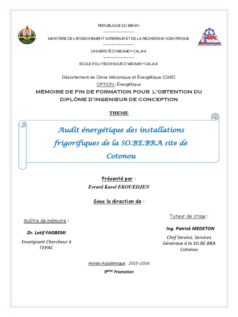 Memoire Karol Final Corrige Amen PDF | PDF | Bière | Dioxyde de carbone