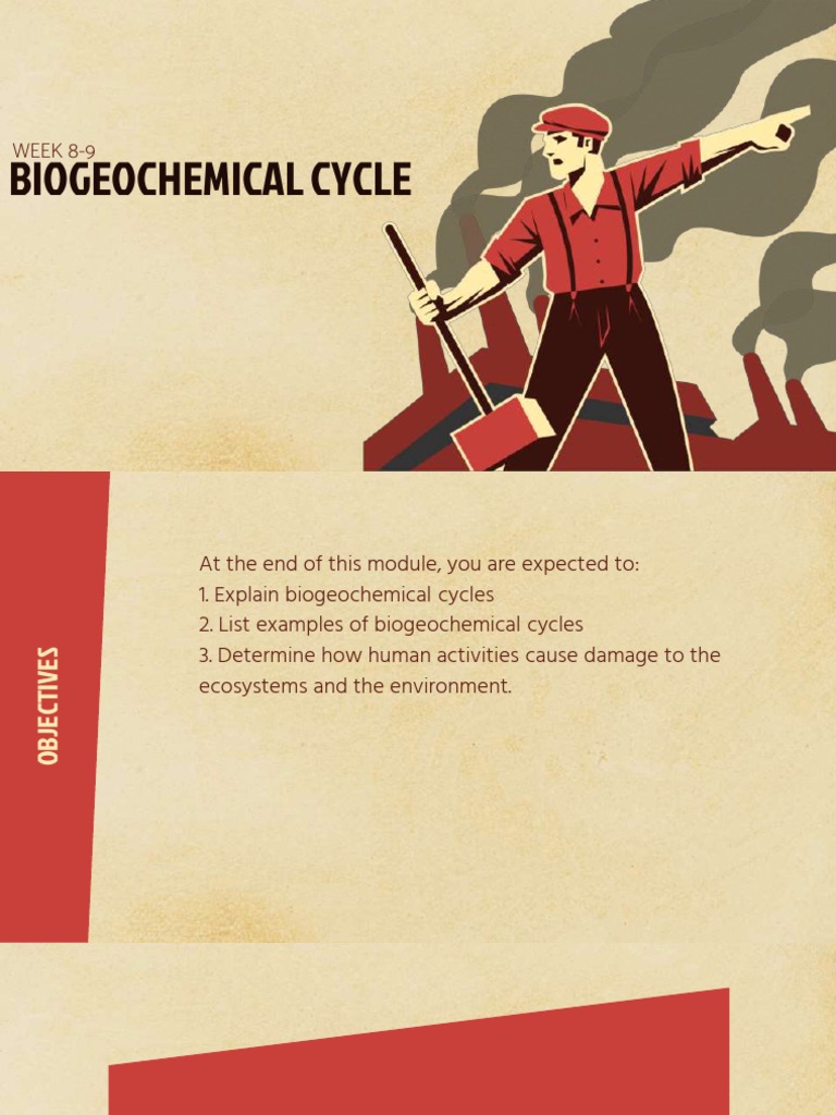The Biogeochemical Cycle | PDF | Water | Carbon Cycle