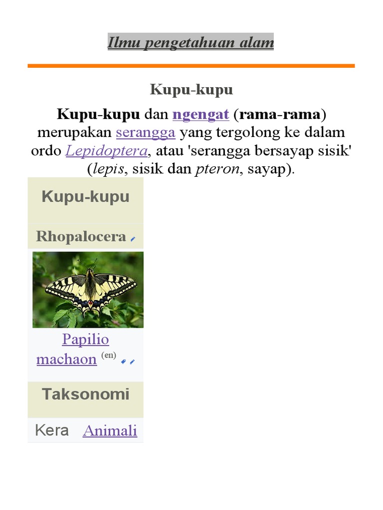 Kupu Kupu | PDF