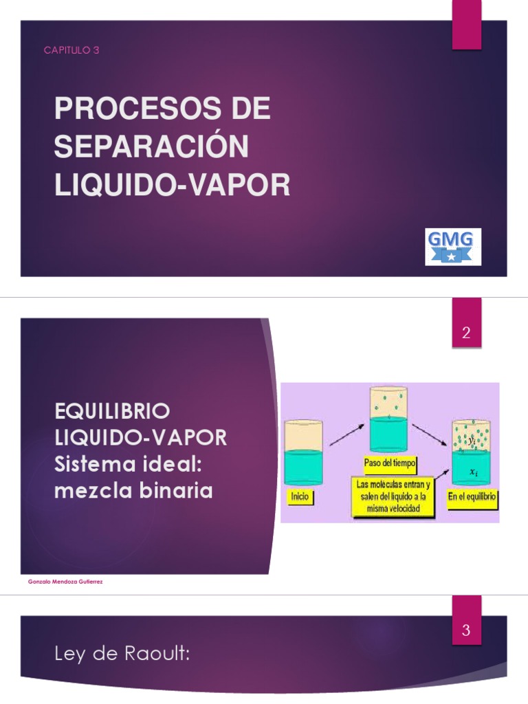 Equilibrio Líquido-Vapor en Mezclas | PDF | Química | Ciencias fisicas