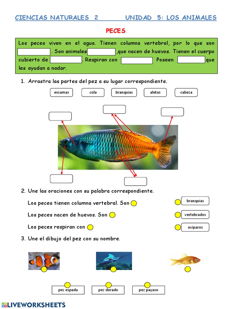 Ciencias Naturales 2 Unidad 5: Los Animales: Peces | PDF