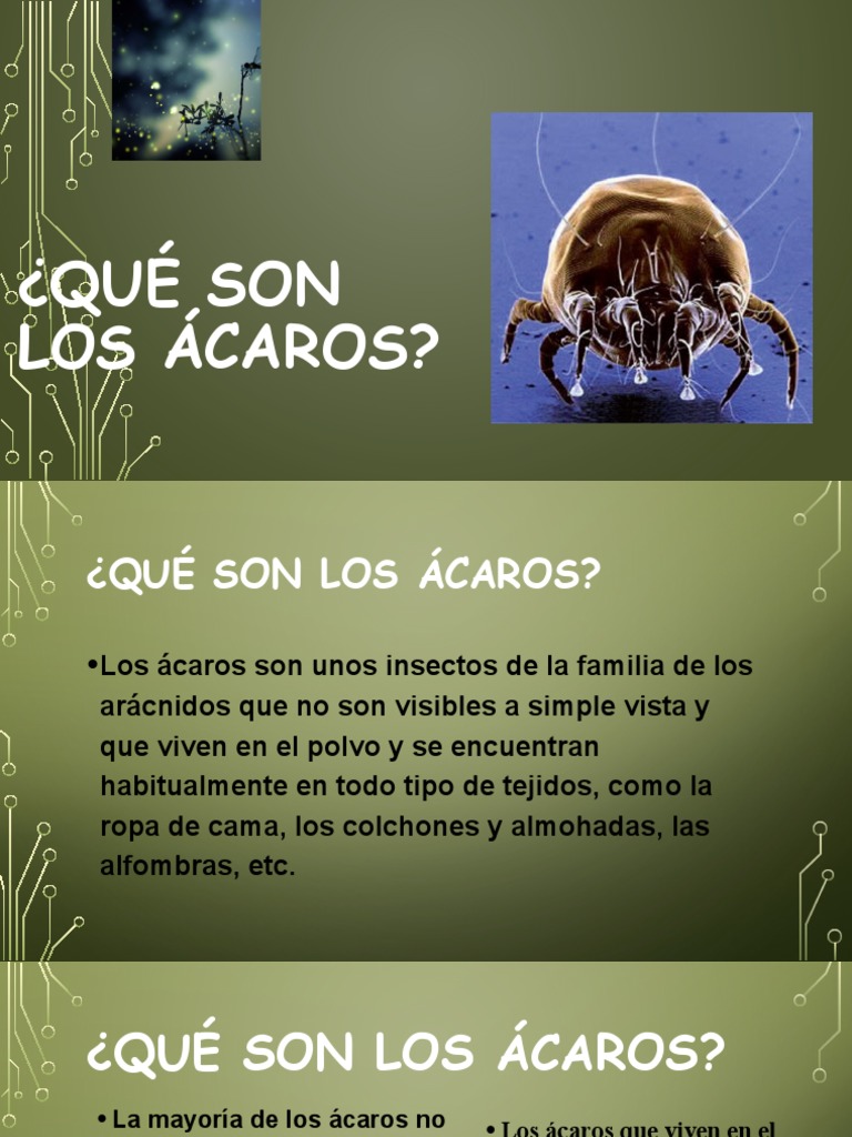 Que Son Los Ácaros | PDF