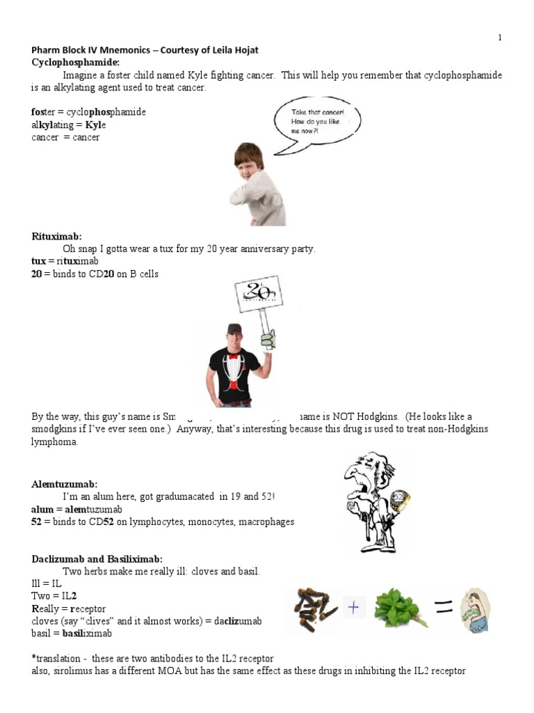 Mnemonic S | PDF