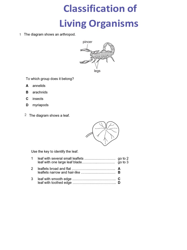 Classificationof - Living - Organism - MCQs | PDF | Flowers | Zoology
