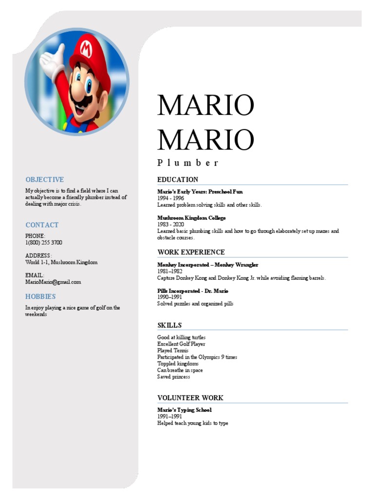 Mario Mario Resume | PDF