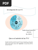Mapa Conceptual 5s | PDF