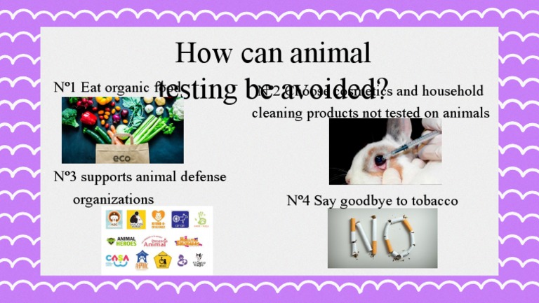 How Can Animal Testing Be Avoided | PDF
