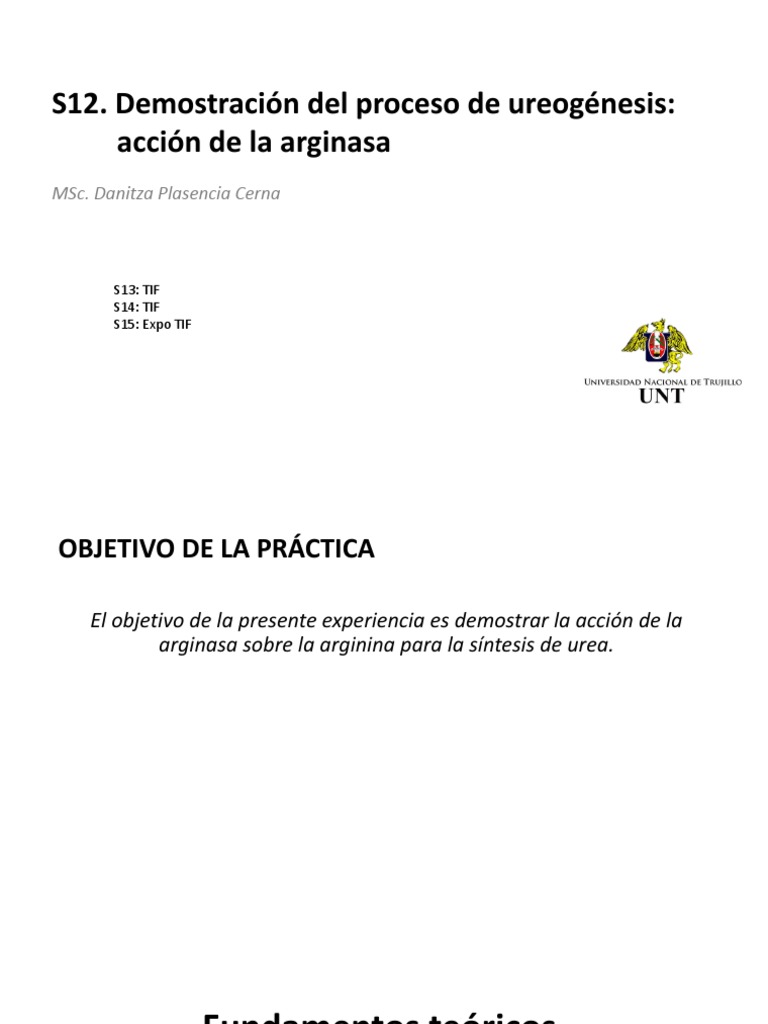 S12. Ureogénesis. Acción de La Arginasa | PDF | Proteólisis | Proteínas