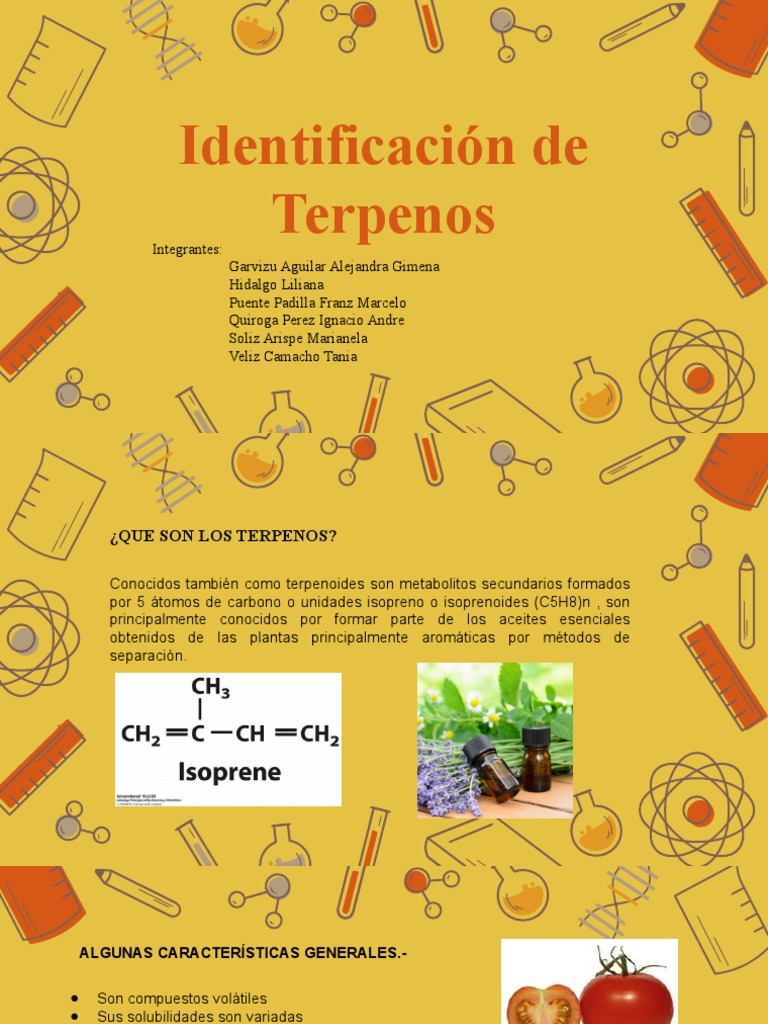 Guía Completa sobre Terpenos y sus Usos | PDF | Productos naturales