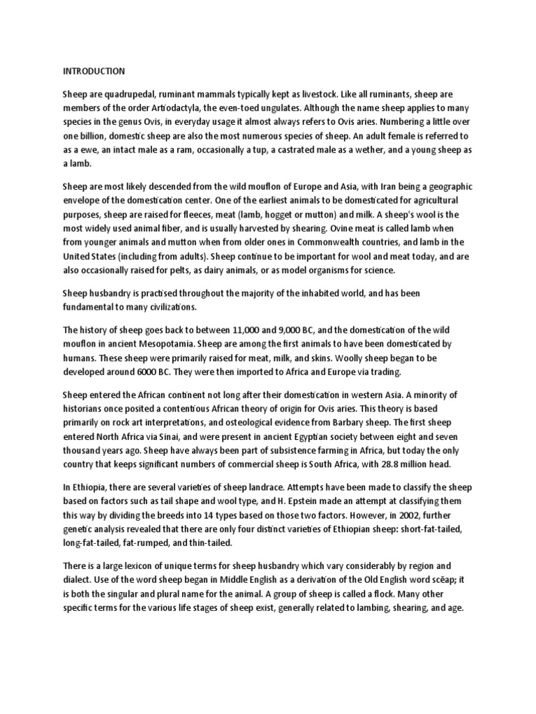 INTRO To Sheep | Download Free PDF | Sheep | Wool