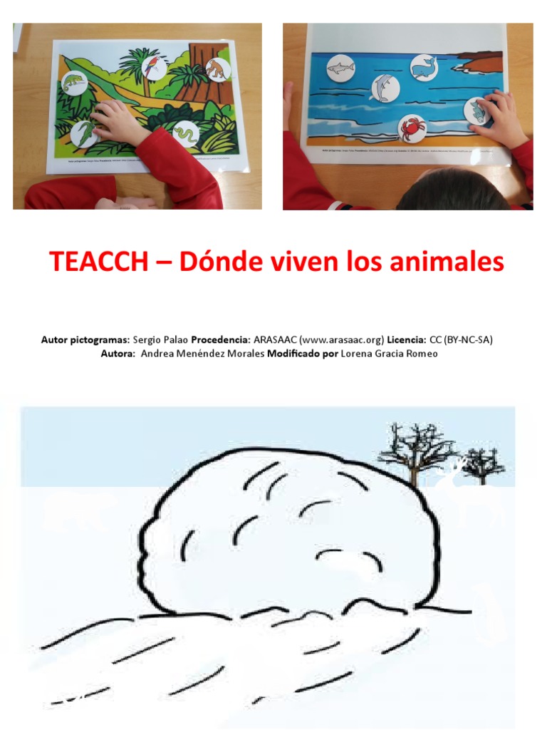 Dónde Viven los Animales - TEACCH | PDF
