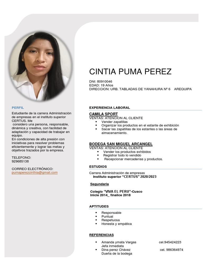 CV - Cintia Puma Perez | PDF