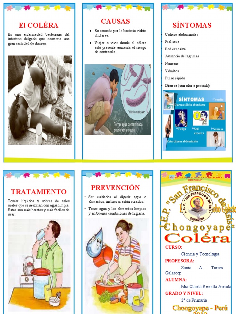 Información sobre el cólera para niños | PDF | Diarrea | Salud pública