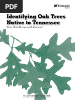 Tennessee Tree Identification Guide | PDF | Trees | Oak
