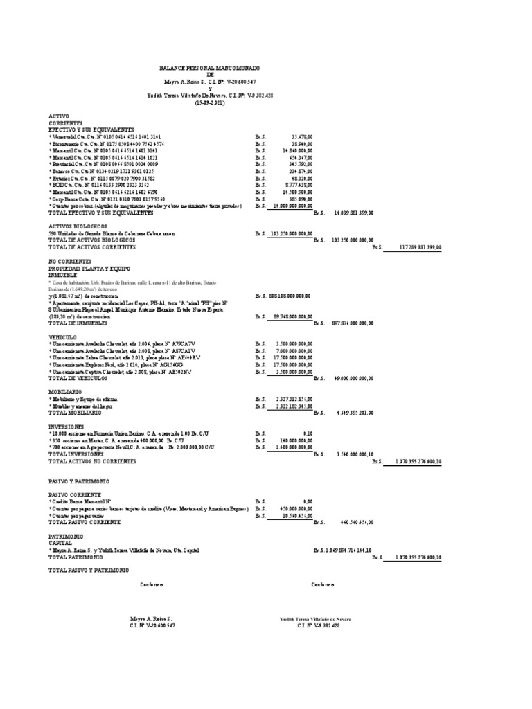 E) Ejemplo de Balance Personal Mancomunado Con Su Informe | PDF ...