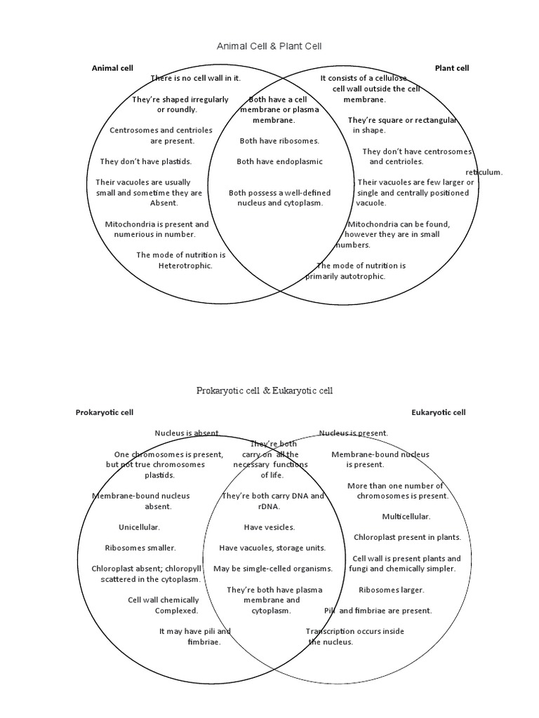 Compare and Contrast Animal Cell & Plant Cell and Prokaryotic ...