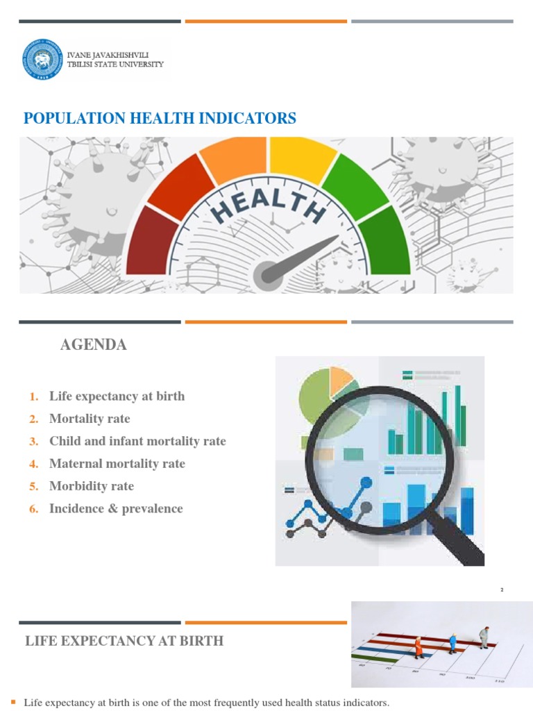 Population Health Indicators | PDF | Maternal Death | Mortality Rate