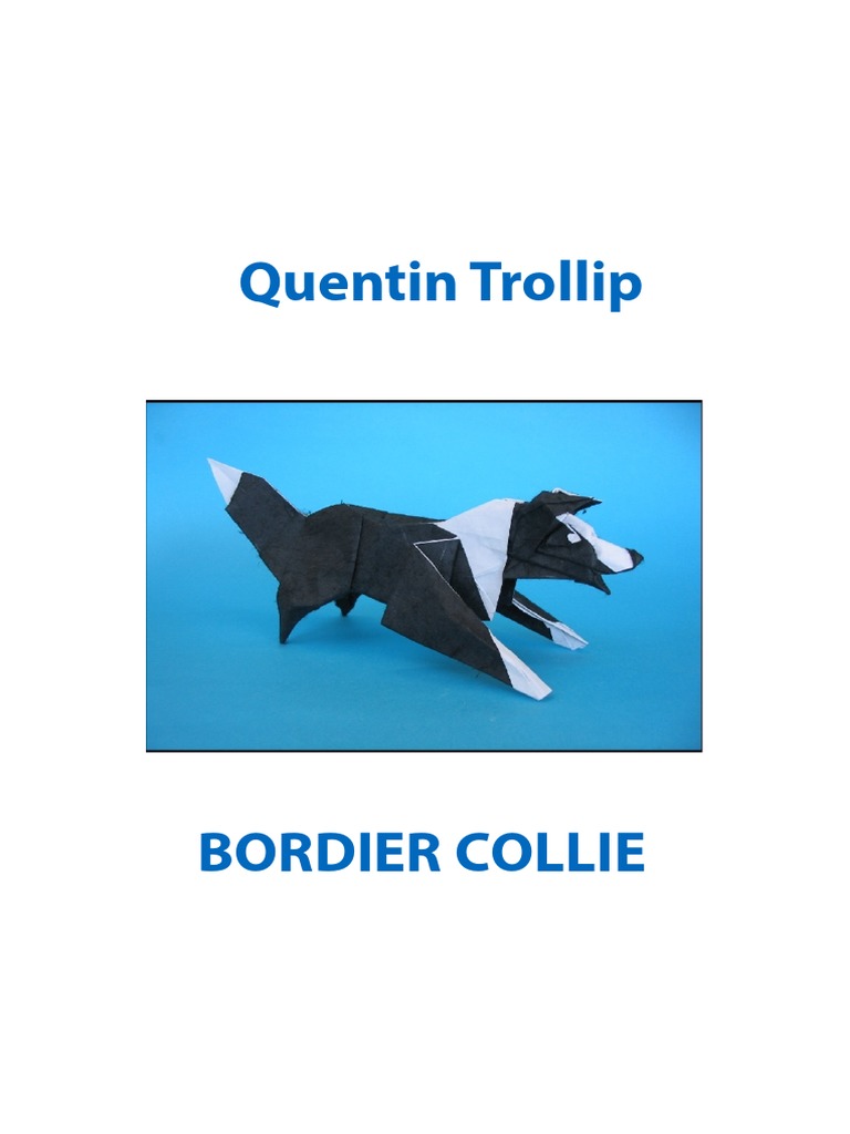 27 Perro Border Collie Quentin Trollip | PDF | Crafts | Paper