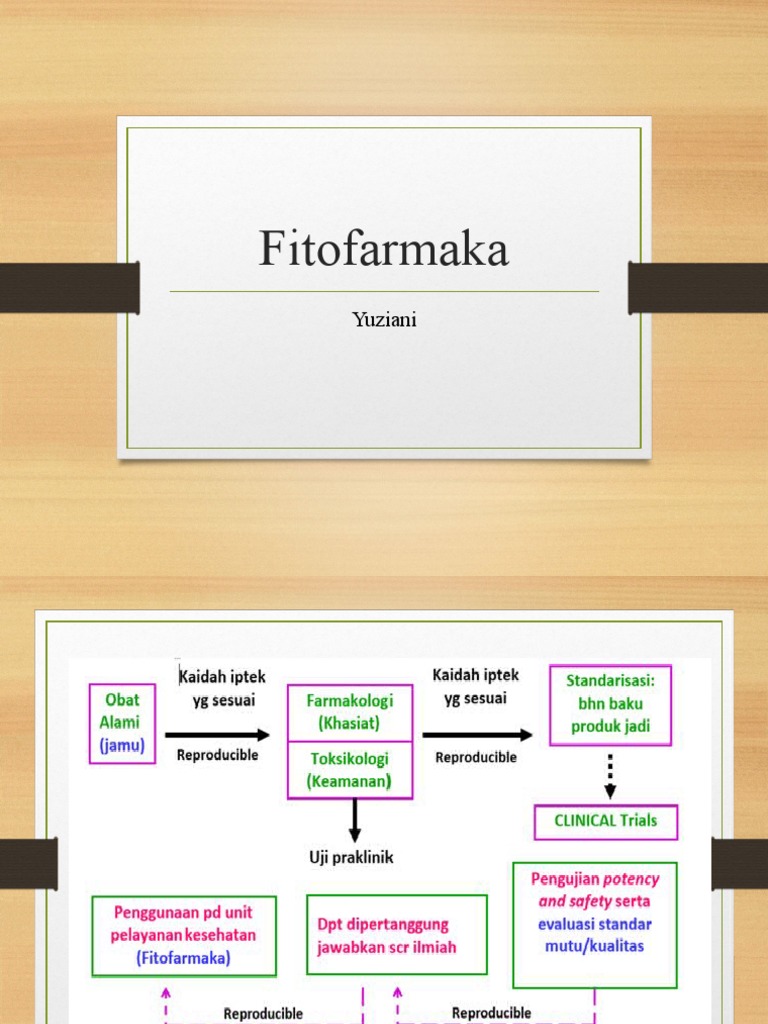 Fitofarmaka | PDF