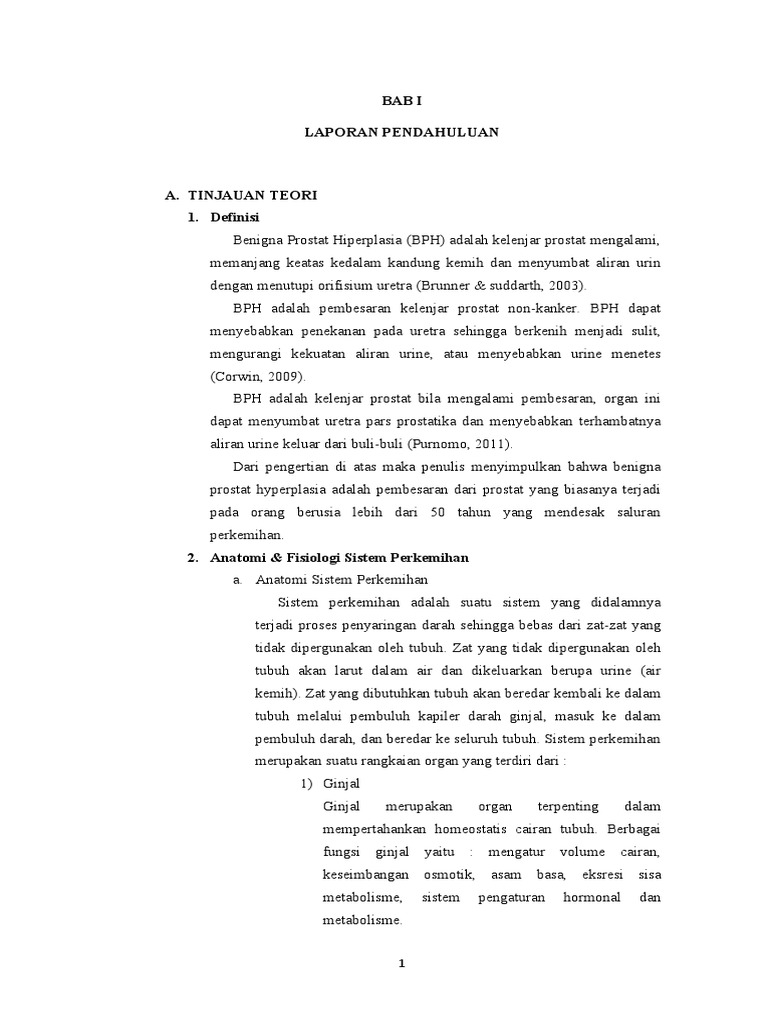 LP BPH | PDF | Ilmu Sosial | Kesehatan Holistik