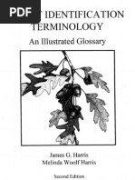 Tree Identification Cards | PDF | Flora | Trees