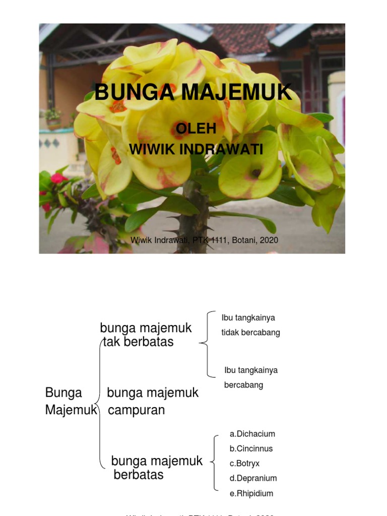 2.BUNGA MAJEMUK PDF Daring 2020 | PDF | Seni & Disiplin Bahasa | Sains ...