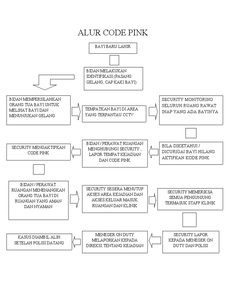 Alur Code Pink | PDF