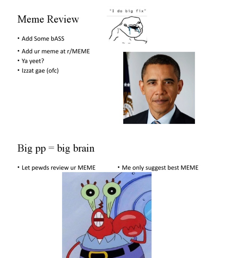 Meme Review | PDF