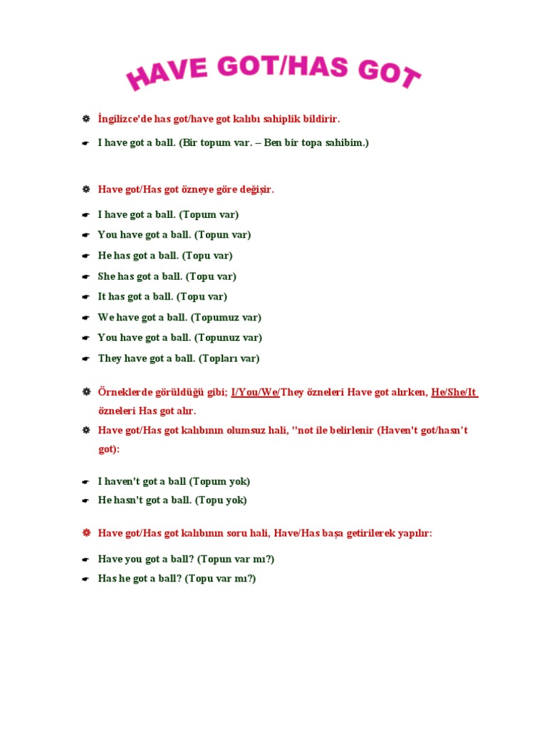 Have Got Has Got BusyTeacher.org