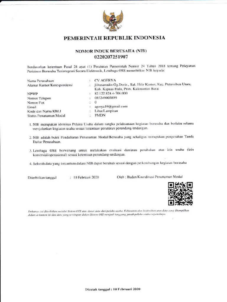 Nib CV - Agerya | PDF