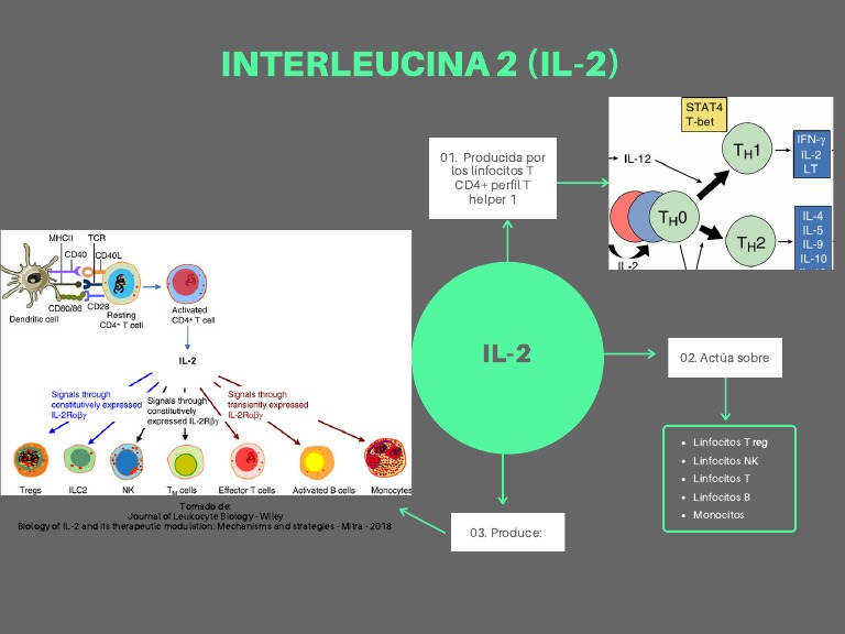 Interleucina 2 (Il-2) | PDF