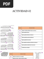 Dominio Apical y Basolateral | PDF