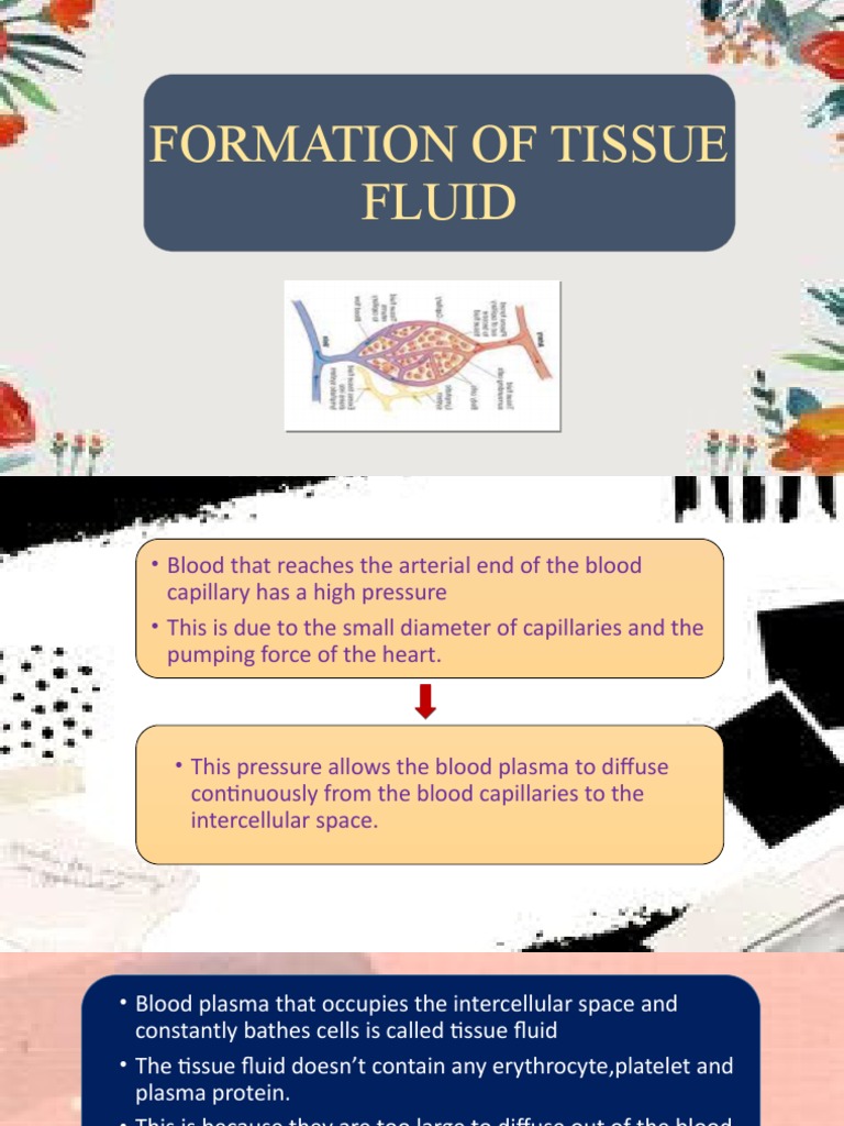 Formation of Tissue Fluid | PDF