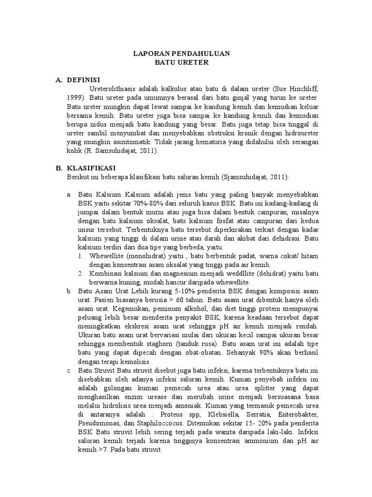 Laporan Pendahuluan | PDF