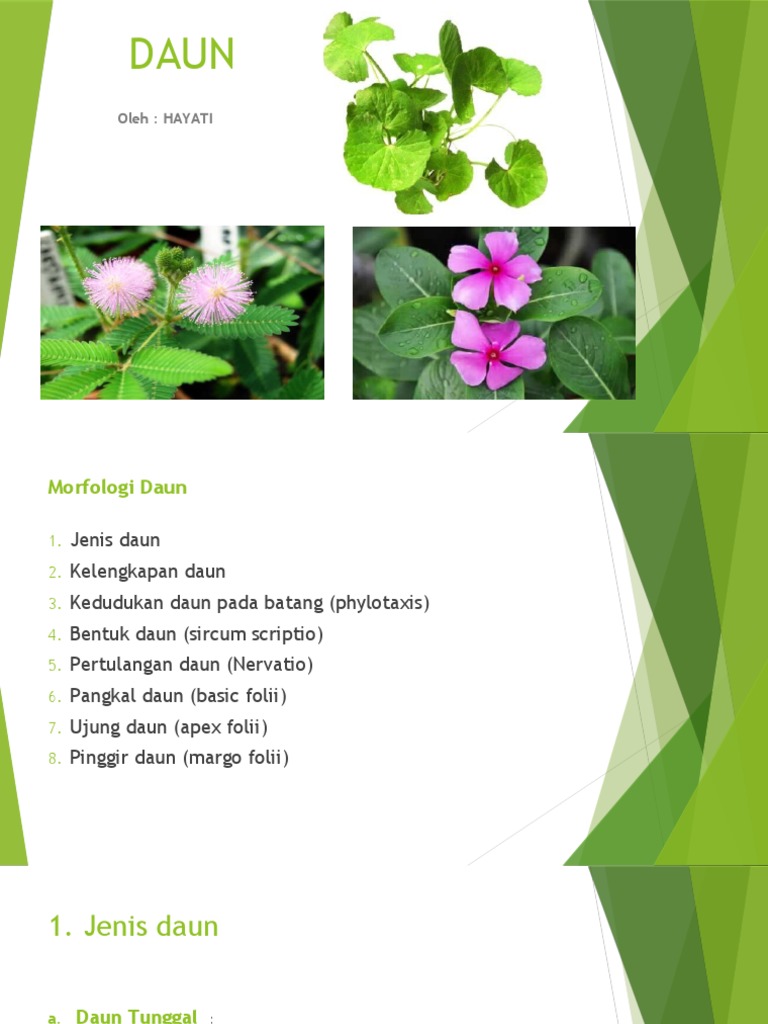 DAUN | PDF
