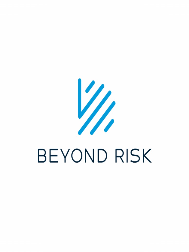 Beyond Risk Logo | PDF